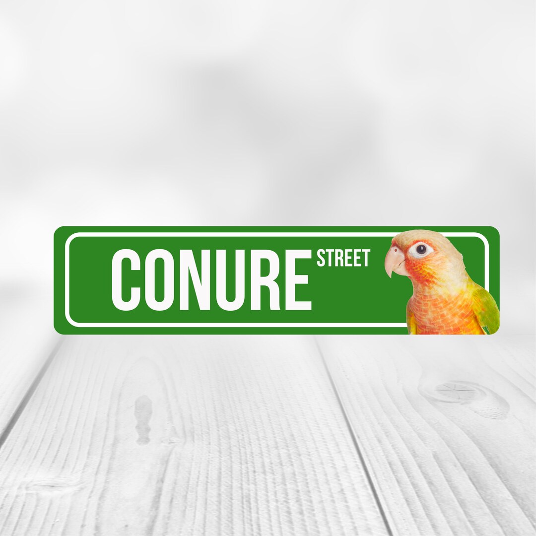 Pineapple Conure Sign | Pineapple Street Sign | Conure Sign - Etsy