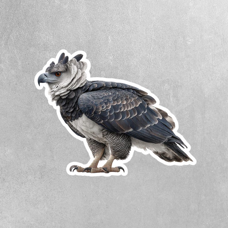 Harpy Eagle Sticker | Harpy Eagle Water Bottle Sticker | Harpy Eagle ...