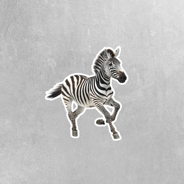 Zebra Decal - Etsy