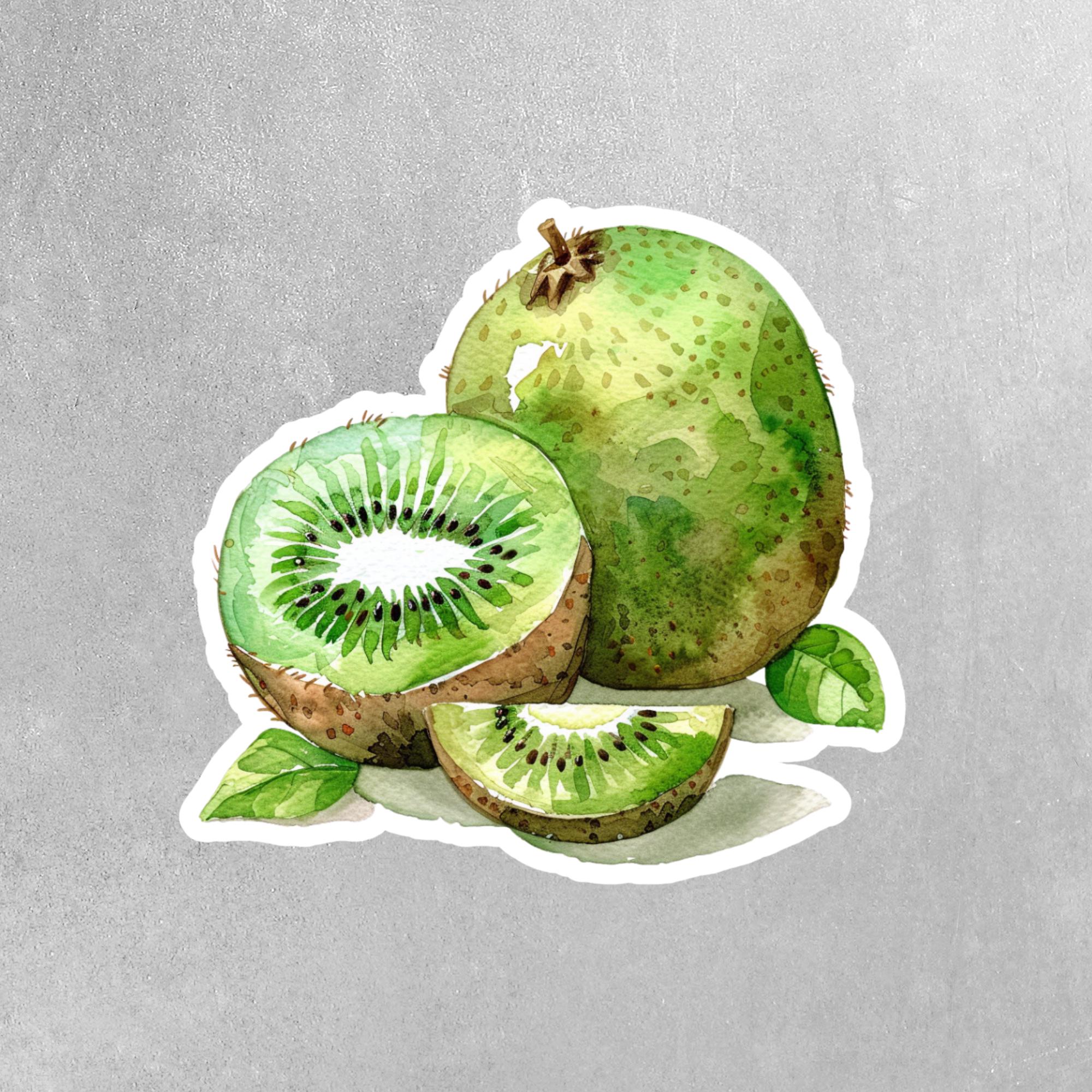 Kiwi Sticker - Watercolor Kiwi Decal for Laptops, Water Bottles ...