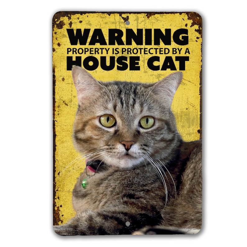 Warning House Cat Sign Cat Warning Sign House Cat Sign - Etsy
