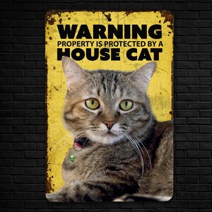 Warning House Cat Sign | Cat Warning Sign | House Cat Sign - Etsy