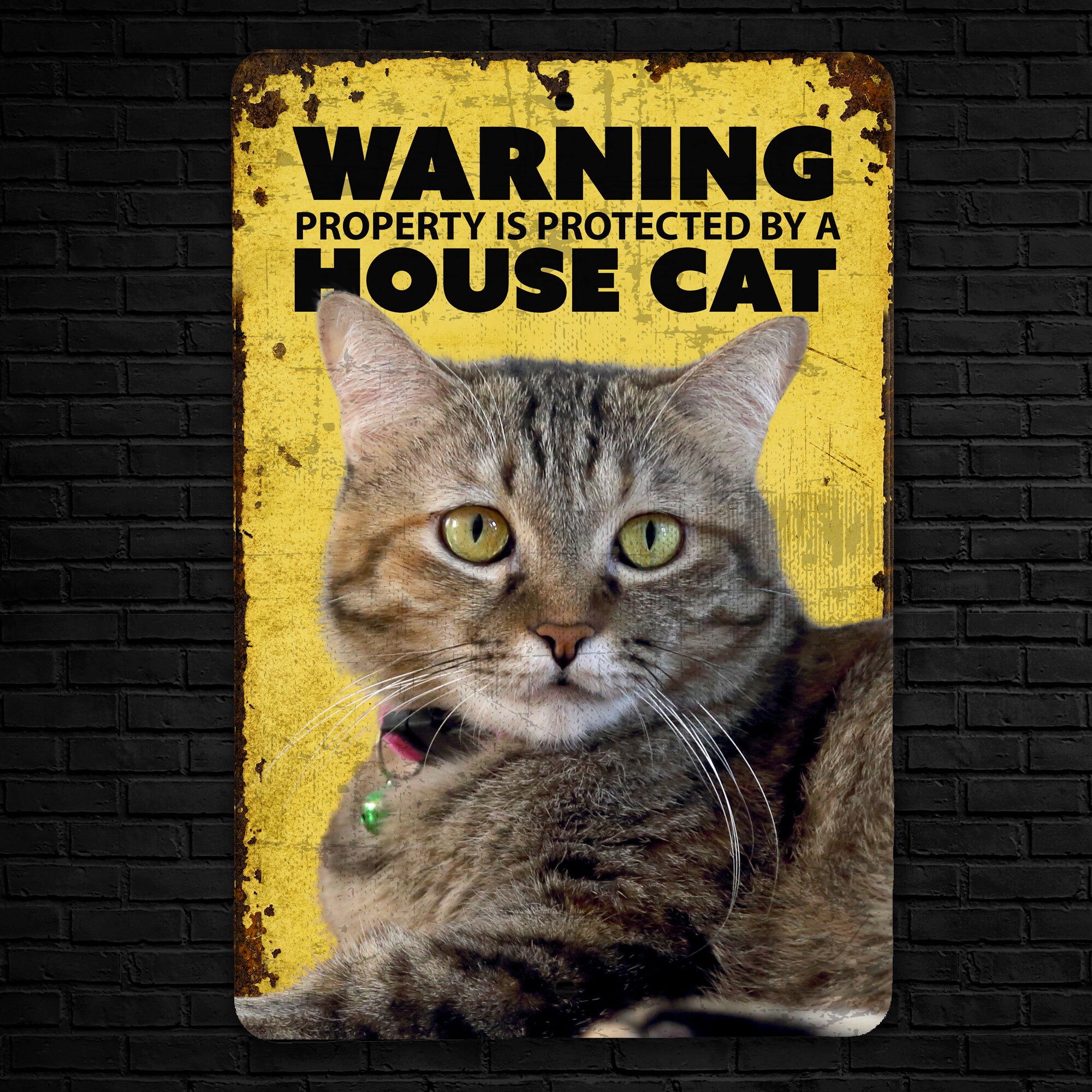 Warning House Cat Sign | Cat Warning Sign | House Cat Sign - Etsy