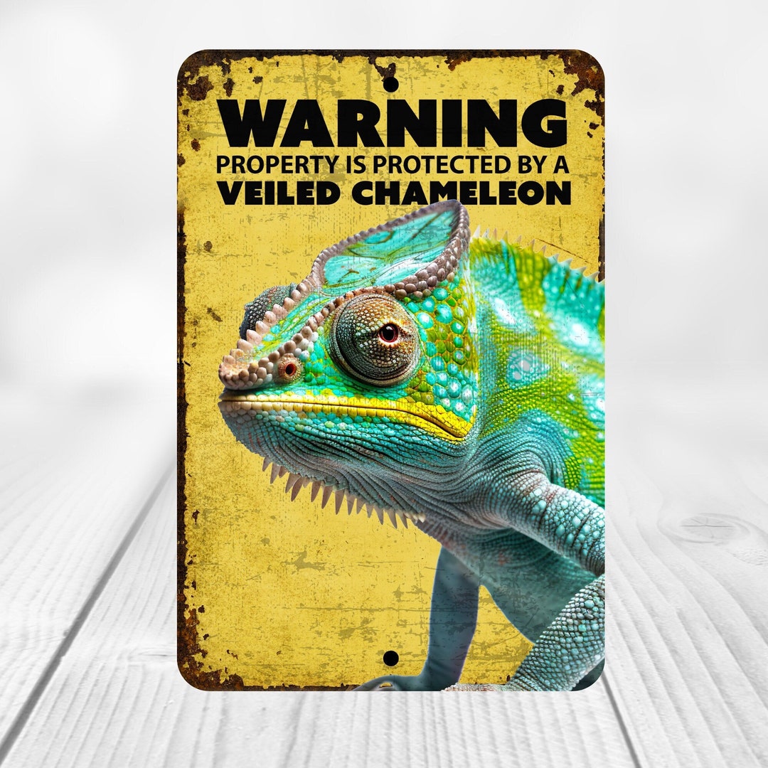 Warning Veiled Chameleon Sign | Chameleon Warning Sign | Chameleon Sign ...