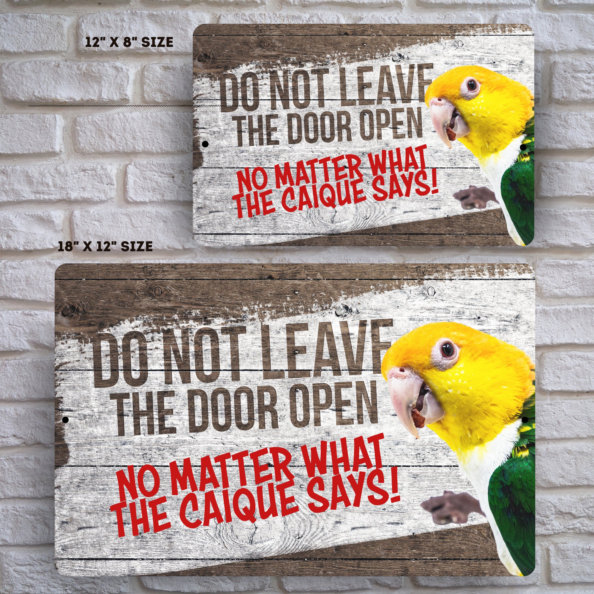 White Belly Caique Sign | Funny Parrot Sign | Caique Signs - Etsy