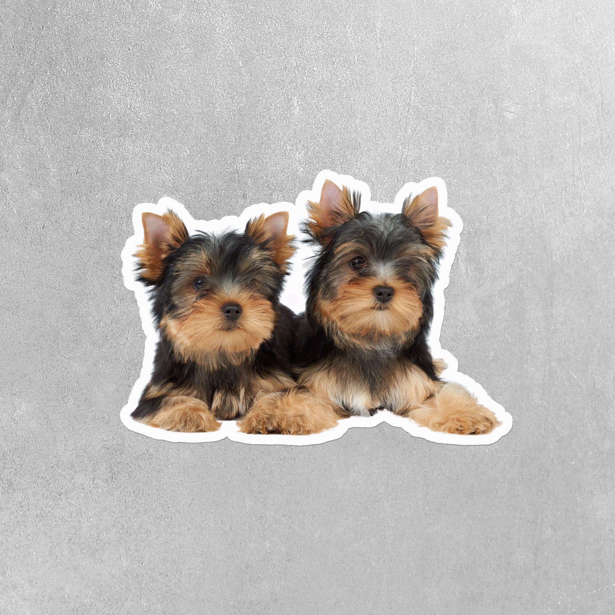 Yorkie Sticker Yorkie Sisters Stickers Yorkie's | Etsy