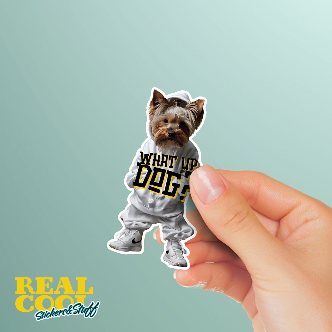 Maltese Sticker What up Dog Sticker Cool Maltese Stickers - Etsy