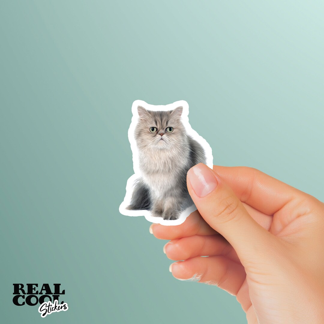 Persian Cat Sticker Cat Decal Cat Sticker Persian Cat Cat Mom Stickers ...