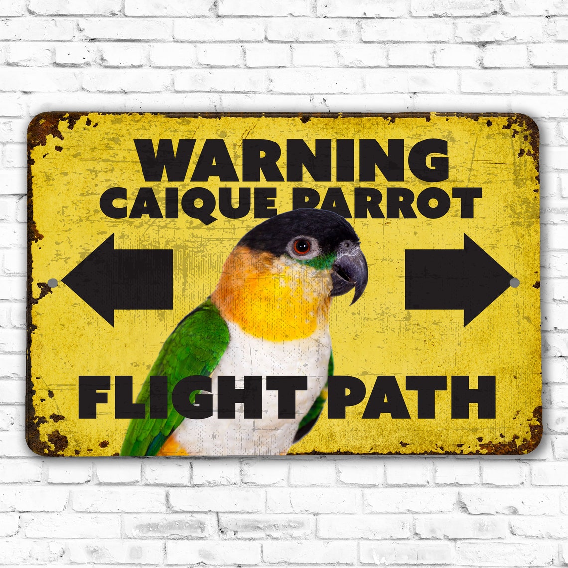 Warning Caique Parrot Flight Path Sign | Caique Parrot Warning Sign ...