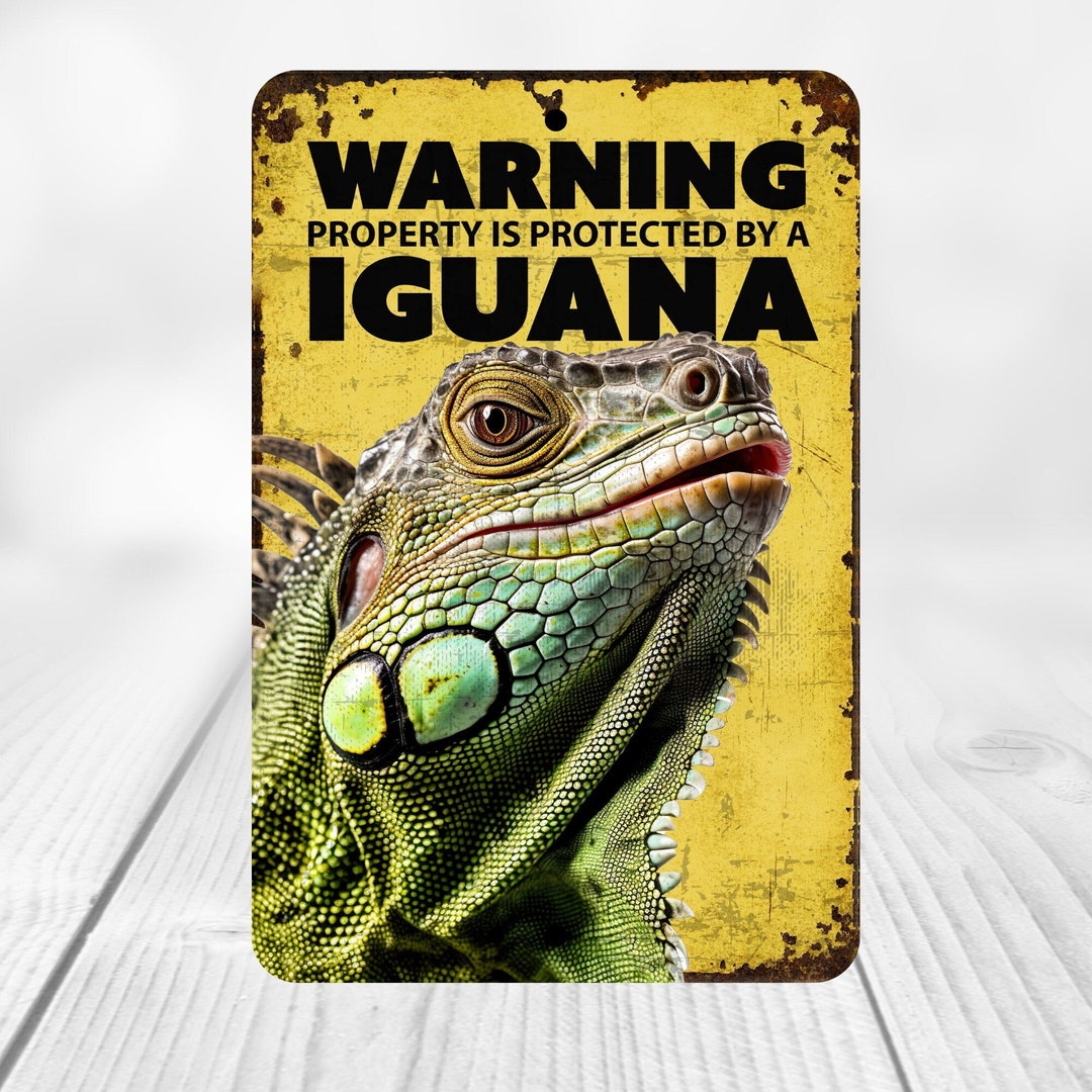 Warning Iguana Sign | Iguana Warning Sign | Iguana Sign - Etsy