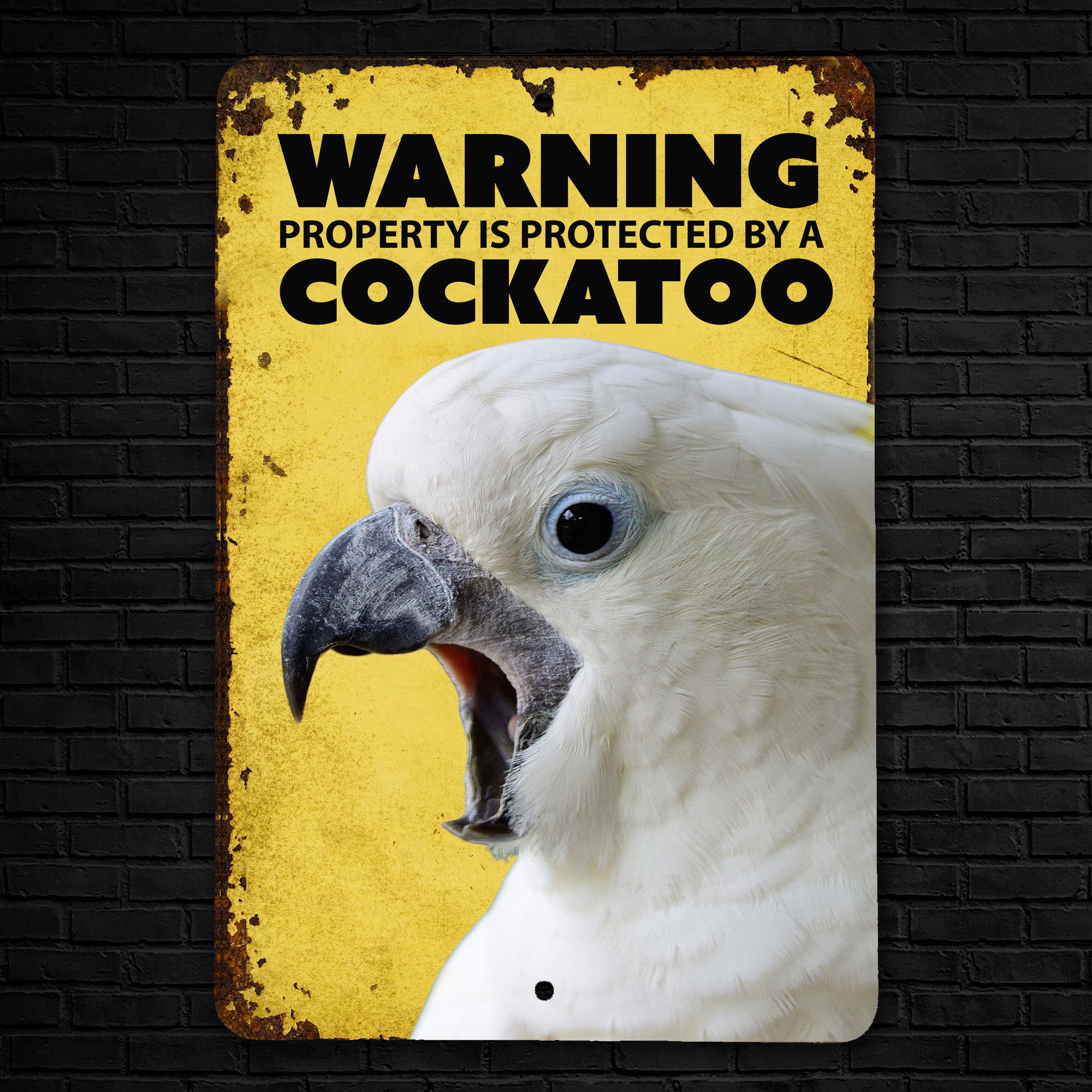 Warning Cockatoo Sign | Cockatoo Warning Sign | Cockatoo Parrot Sign - Etsy