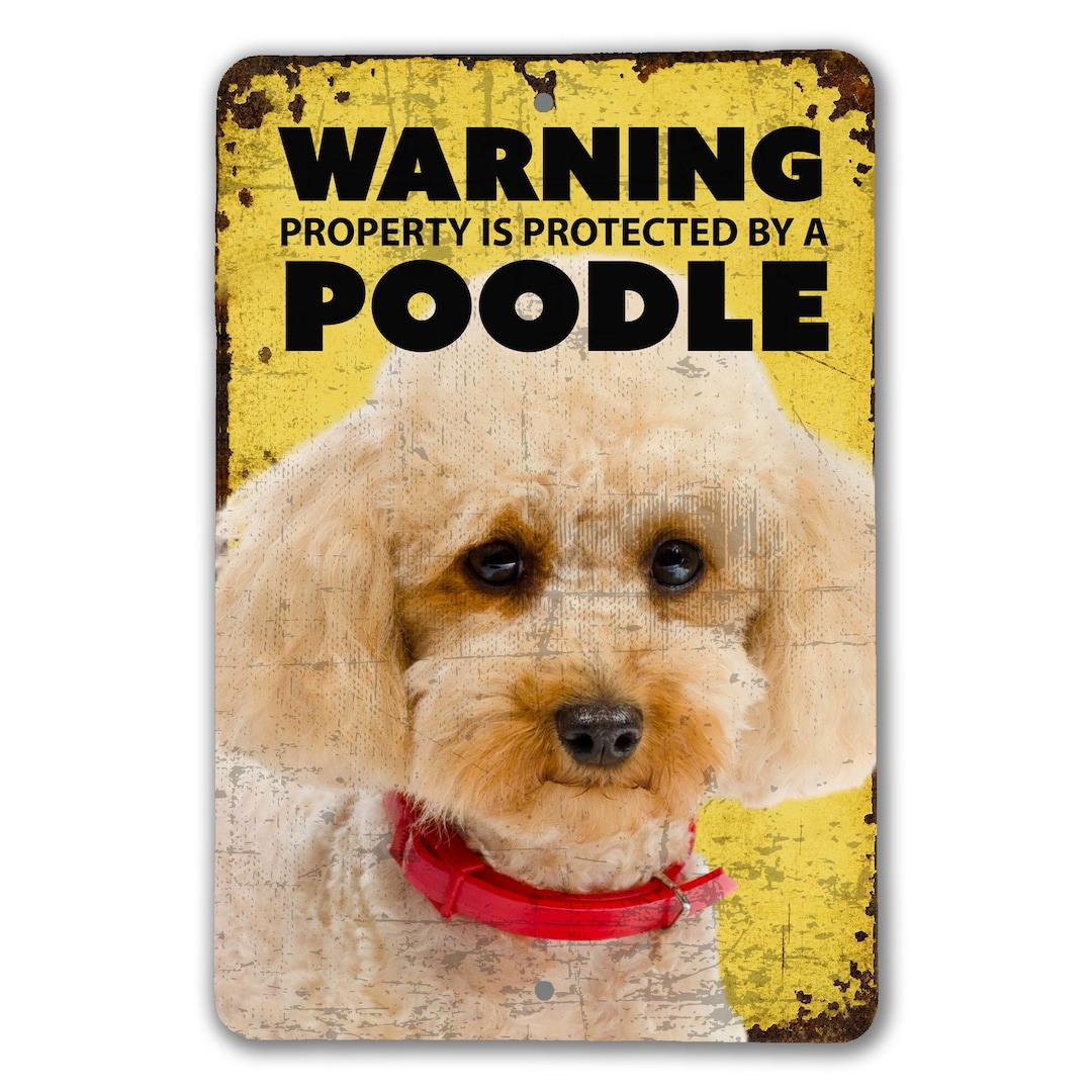 Warning Poodle Sign | Dog Warning Sign | Poodle Sign - Etsy