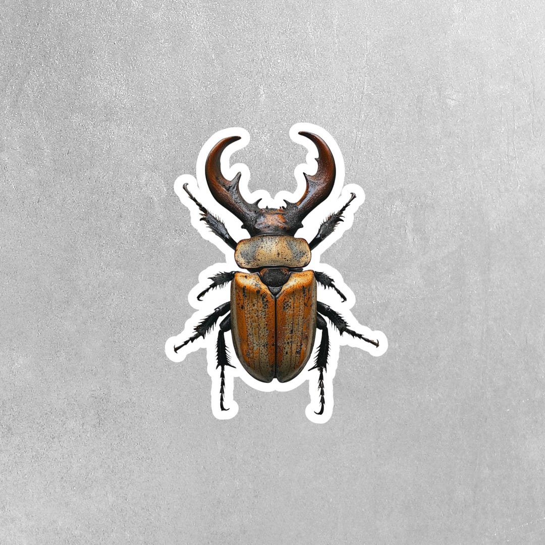 Stag Beetle Sticker - Beetle Decal - Unique Insect Art for Journals ...