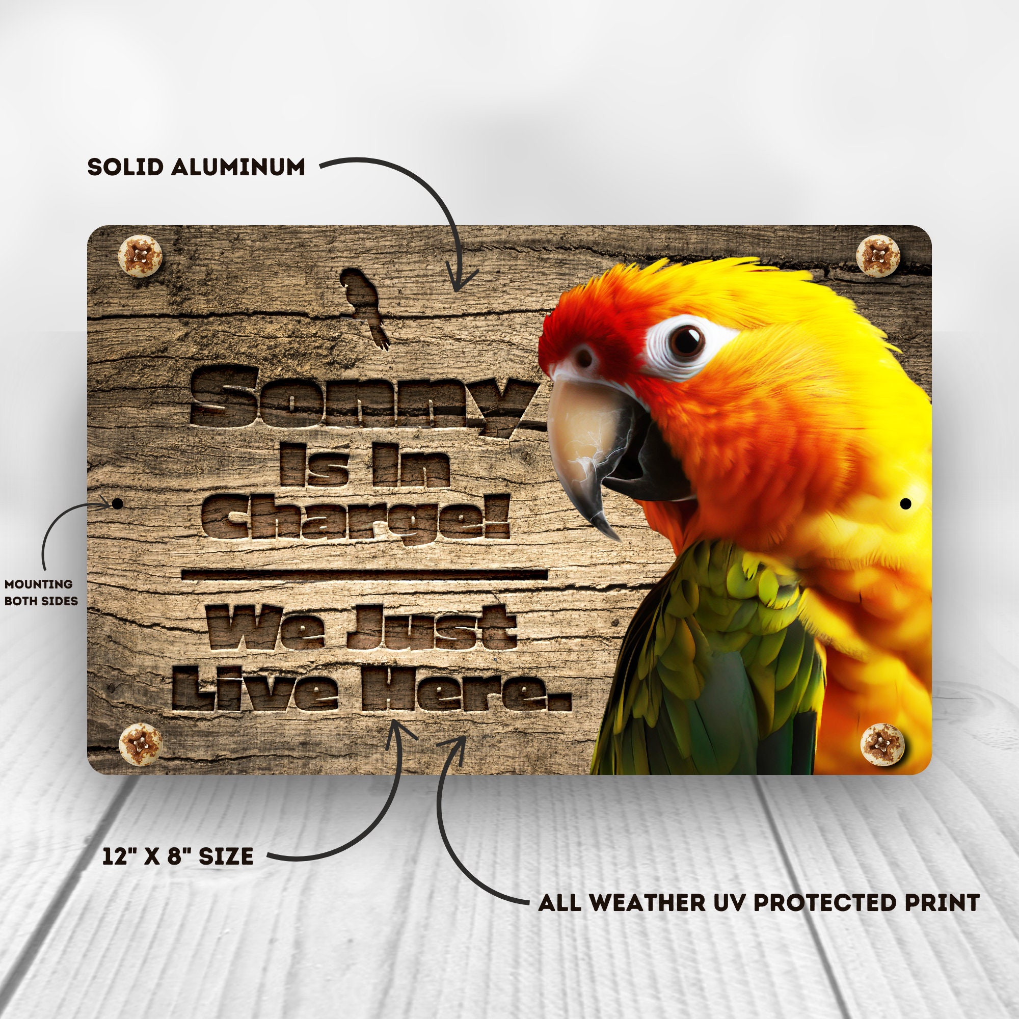 Personalized Sun Conure Sign | Rustic Parrot Sign | Add Your Sun Conure ...