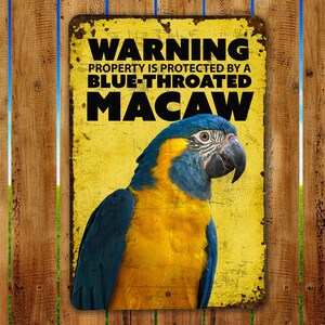 Warning Blue-throated Macaw Sign | Parrot Warning Sign | Blue Throated ...