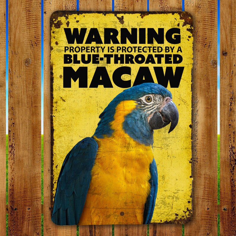 Warning Blue-throated Macaw Sign | Parrot Warning Sign | Blue Throated ...