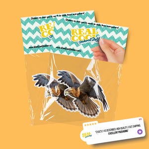 Hawk Sticker | Flying Hawk Decal for Car, Laptop & Wall | Bird of Prey ...