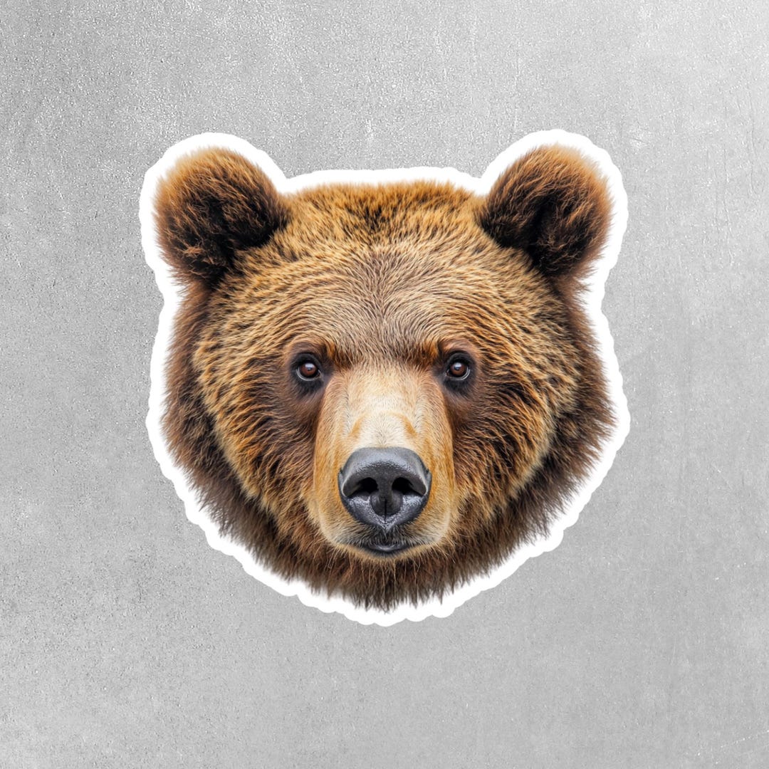 Grizzly Bear Sticker | Brown Bear Decal | Grizzly Bear Decal - Etsy