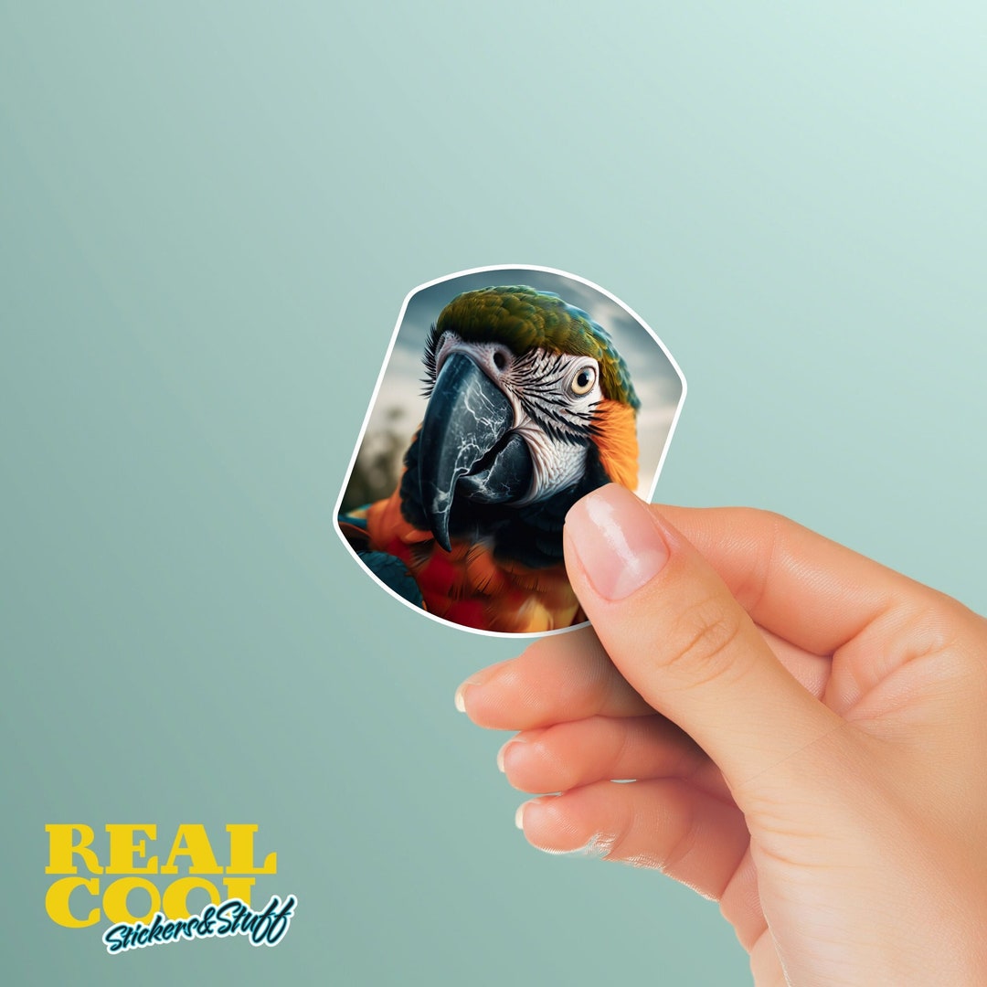 Macaw Sticker Parrot Stickers Macaw Decal - Etsy