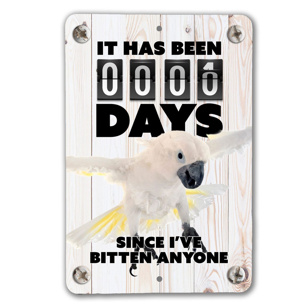 Flying Cockatoo Bite Sign Cockatoo Sign Cockatoo Parrot Sign - Etsy