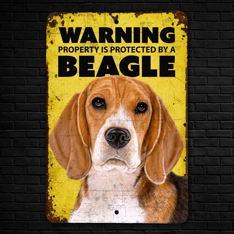 Warning Beagle Sign | Dog Warning Sign | Beagle Sign - Etsy