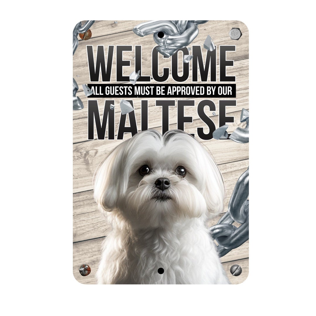 Maltese Welcome Sign | Maltese Sign - Etsy