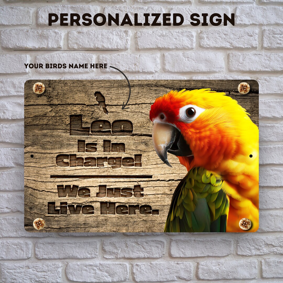Personalized Sun Conure Sign | Rustic Parrot Sign | Add Your Sun Conure ...