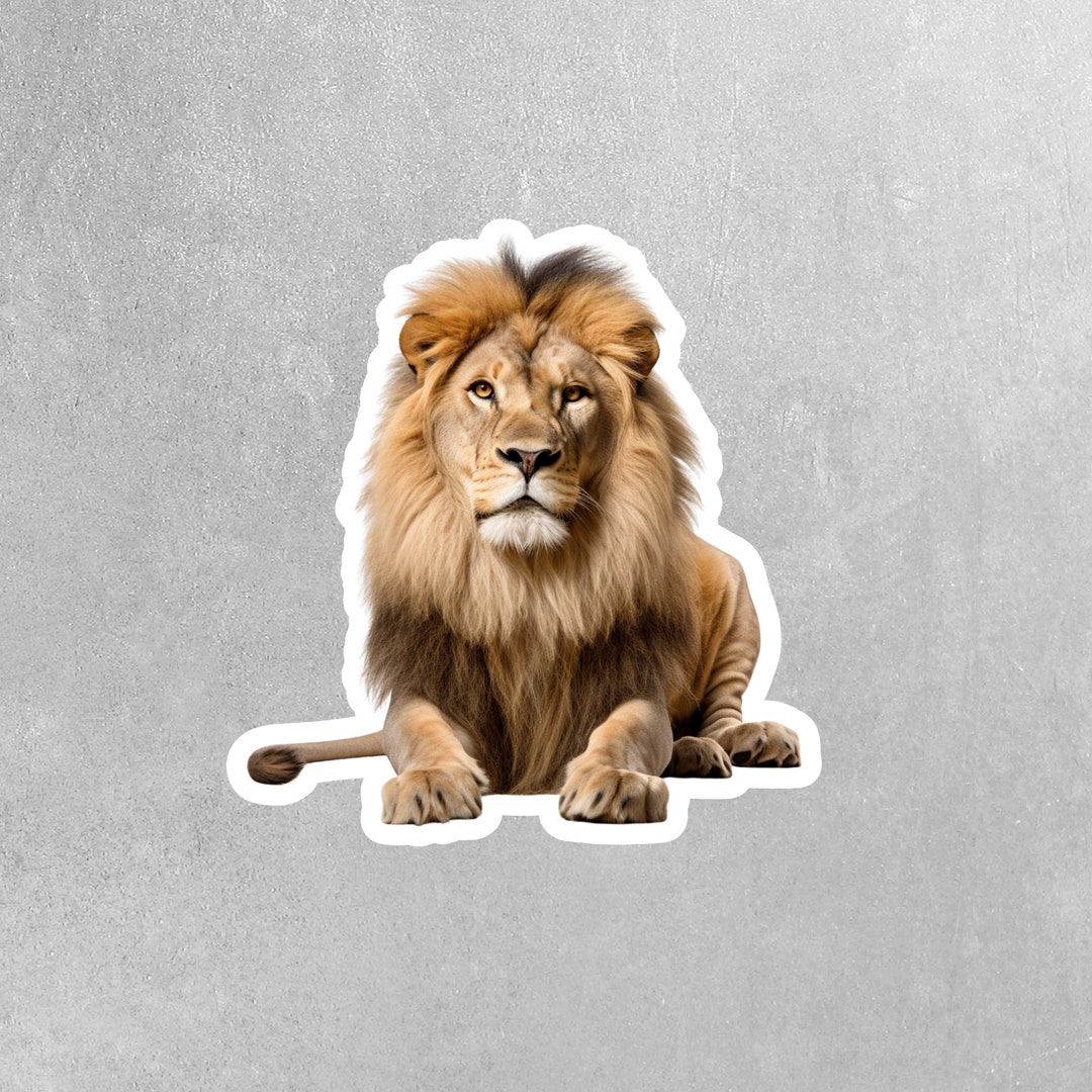 Lion Sticker | Lion | Male Lion Sticker - Etsy