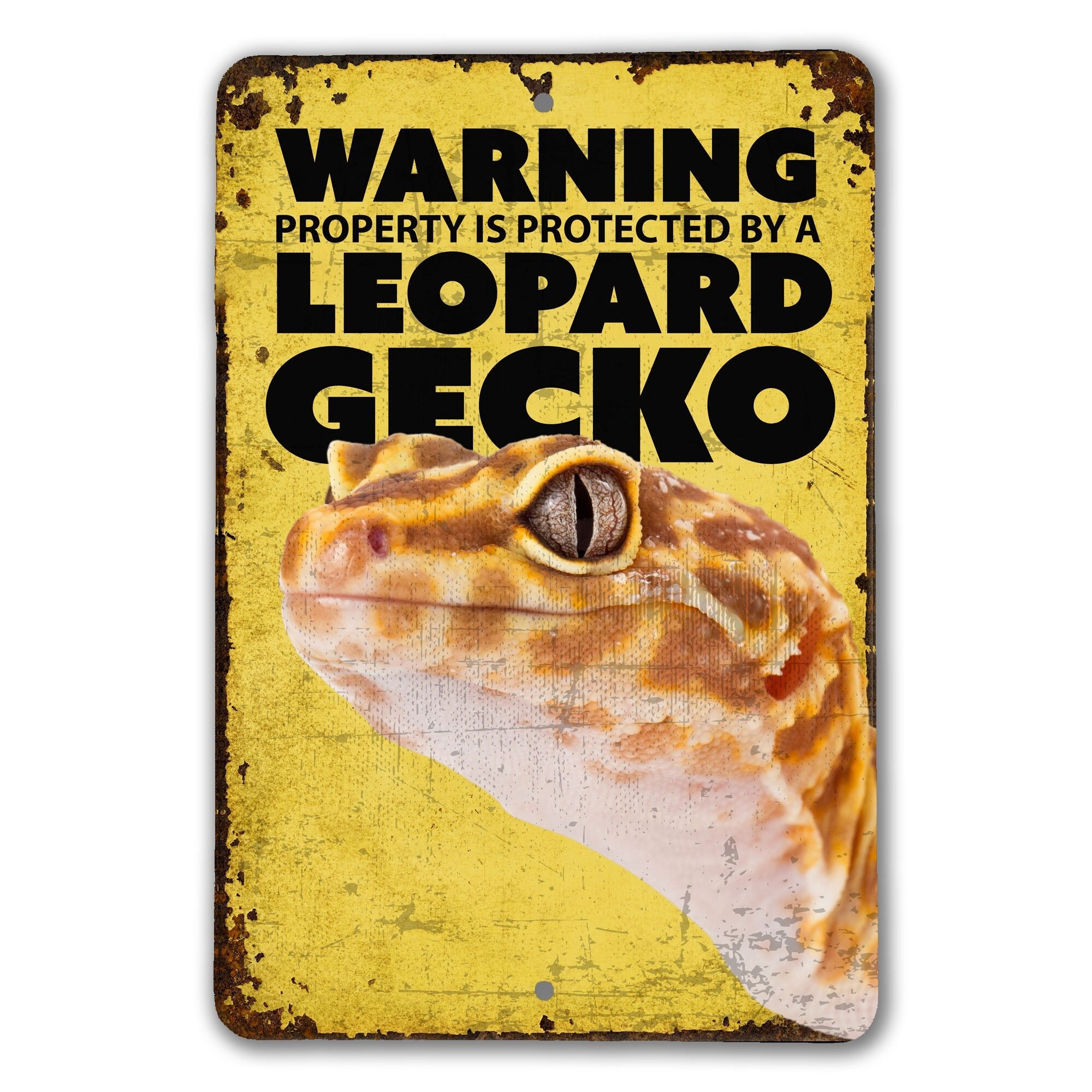 Warning Leopard Gecko Sign Leopard Gecko Warning Sign - Etsy