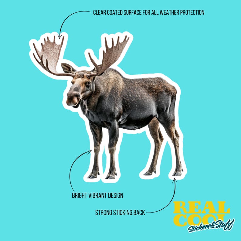 Moose Sticker - Cute Moose Vinyl Decal for Home Decor, Laptop, Water ...