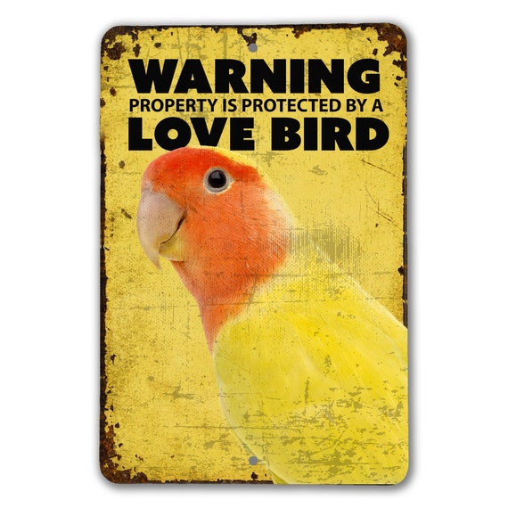 Warning Love Bird Sign Love Bird Warning Sign Love Bird | Etsy