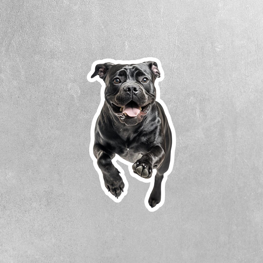 Cane Corso Sticker | Running Cane Corso Sticker - Etsy