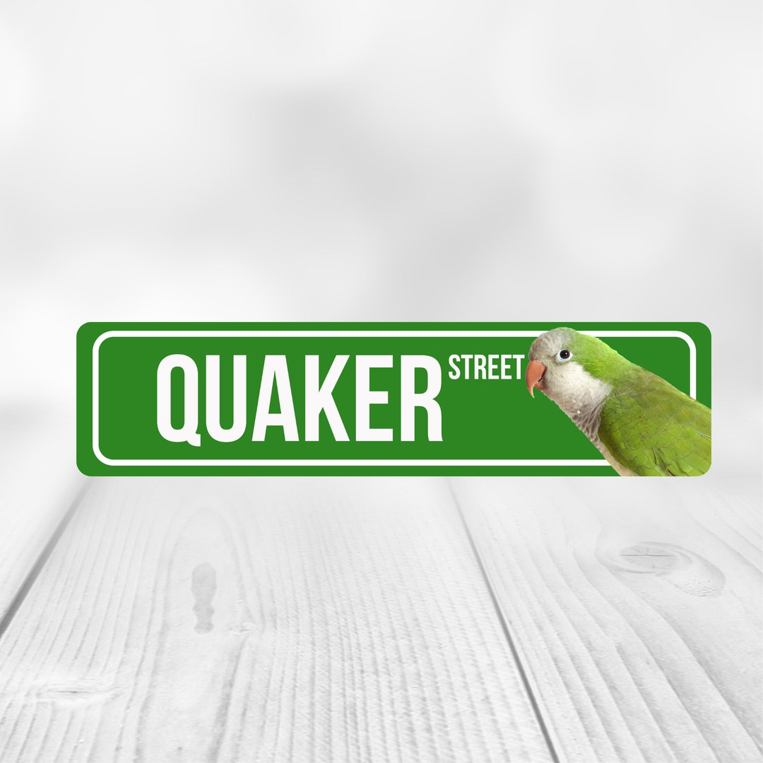 Quaker Street Sign | Green Quaker Sign | Quaker Ave Sign - Etsy