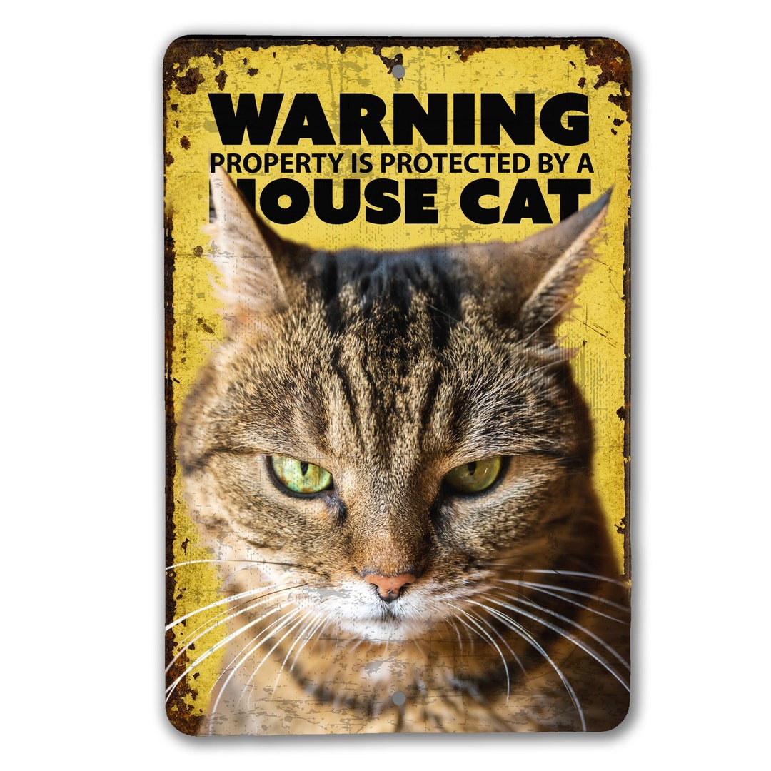 Warning House Cat Sign | White Cat Warning Sign | House Cat Sign - Etsy