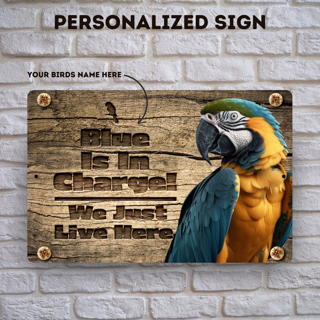 Personalized Macaw Parrot Sign | Rustic Parrot Sign | Add Your Macaw ...