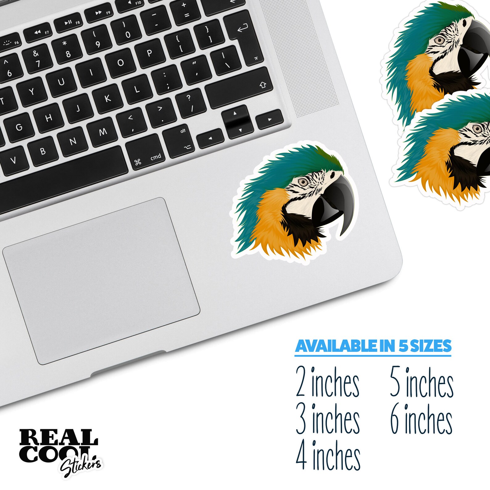 Macaw Sticker | Parrot Stickers | Macaw Decal - Etsy