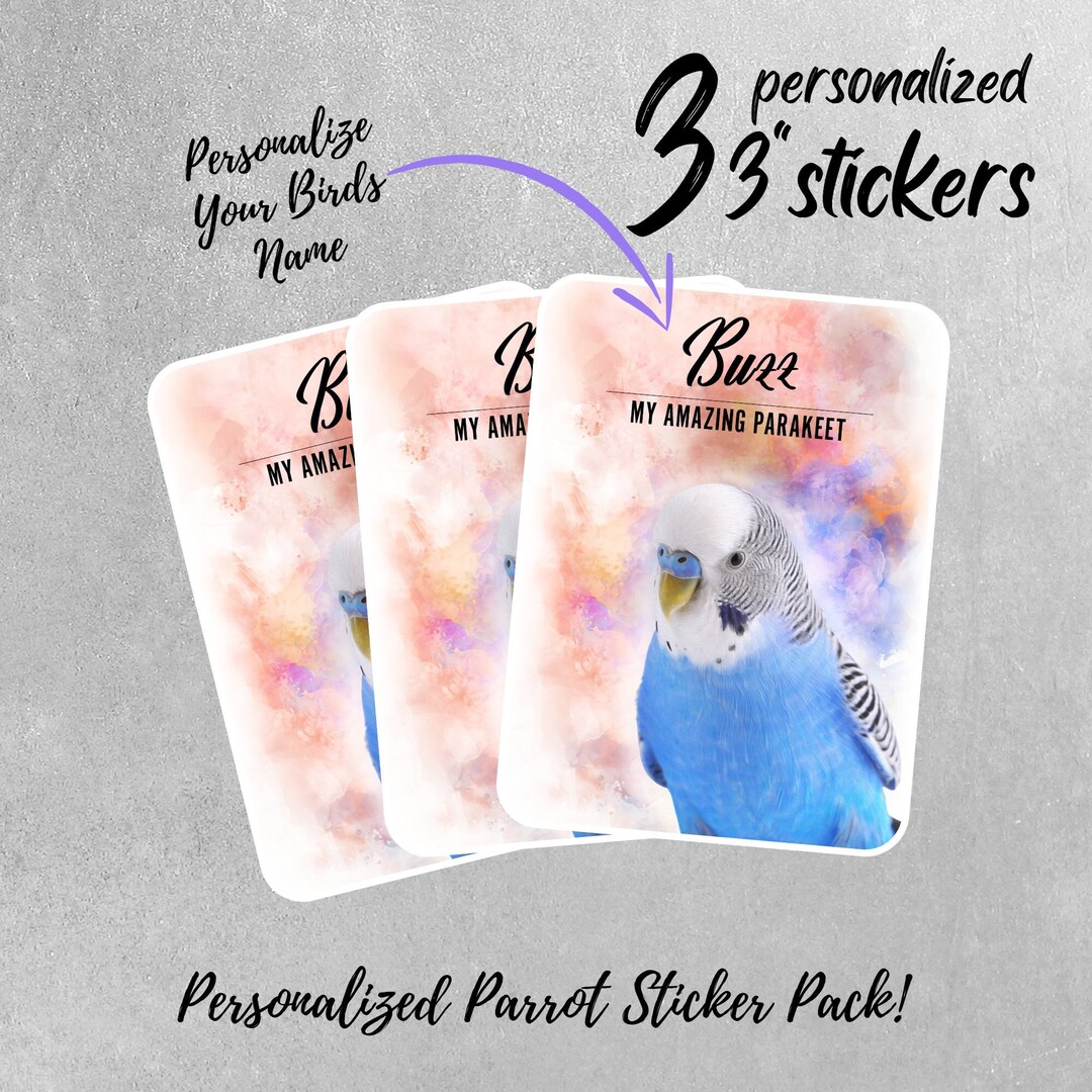 Personalized Parakeet Sticker Three Pack | Blue Parakeet Sticker - Etsy