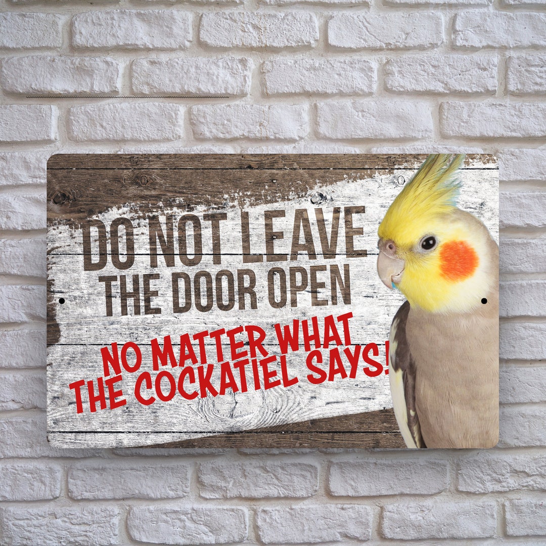 Cockatiel Sign | Funny Parrot Decor | Cockatiel Metal Sign - Etsy