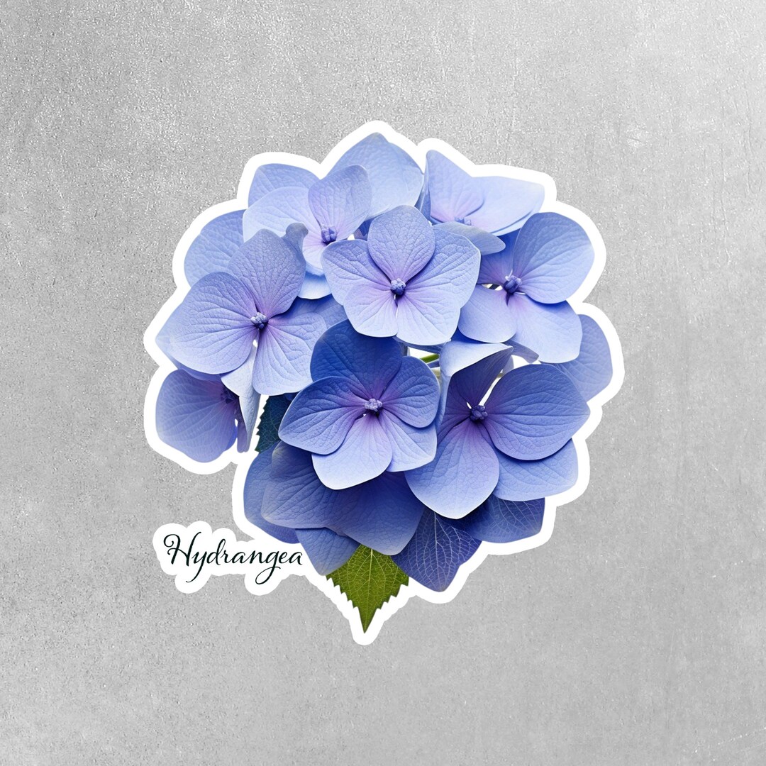 Hydrangea Sticker | Hydrangea Flower Sticker | Flower Stickers - Etsy
