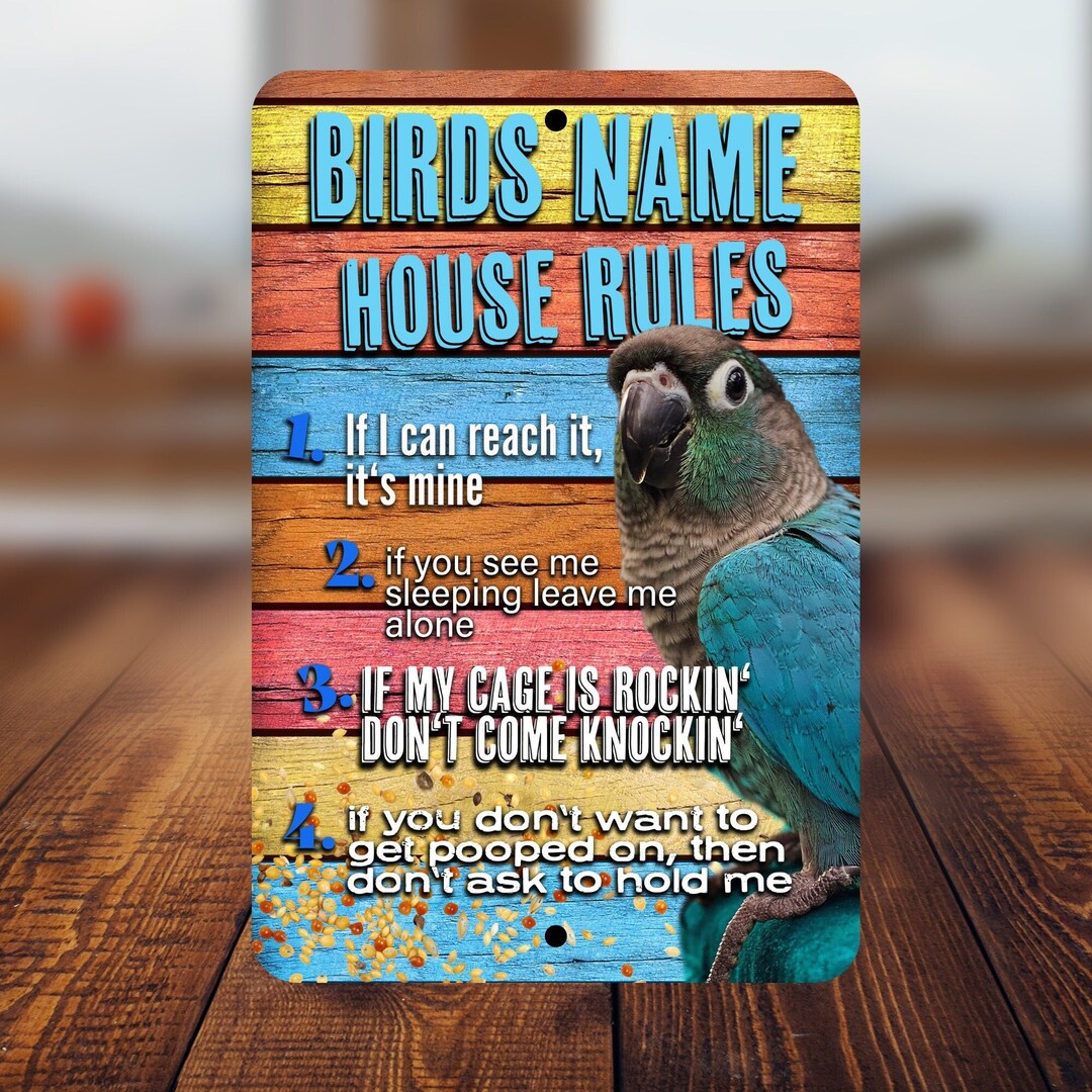 Turquoise Conure House Rules Sign | Personalized Turquoise Conure Sign ...