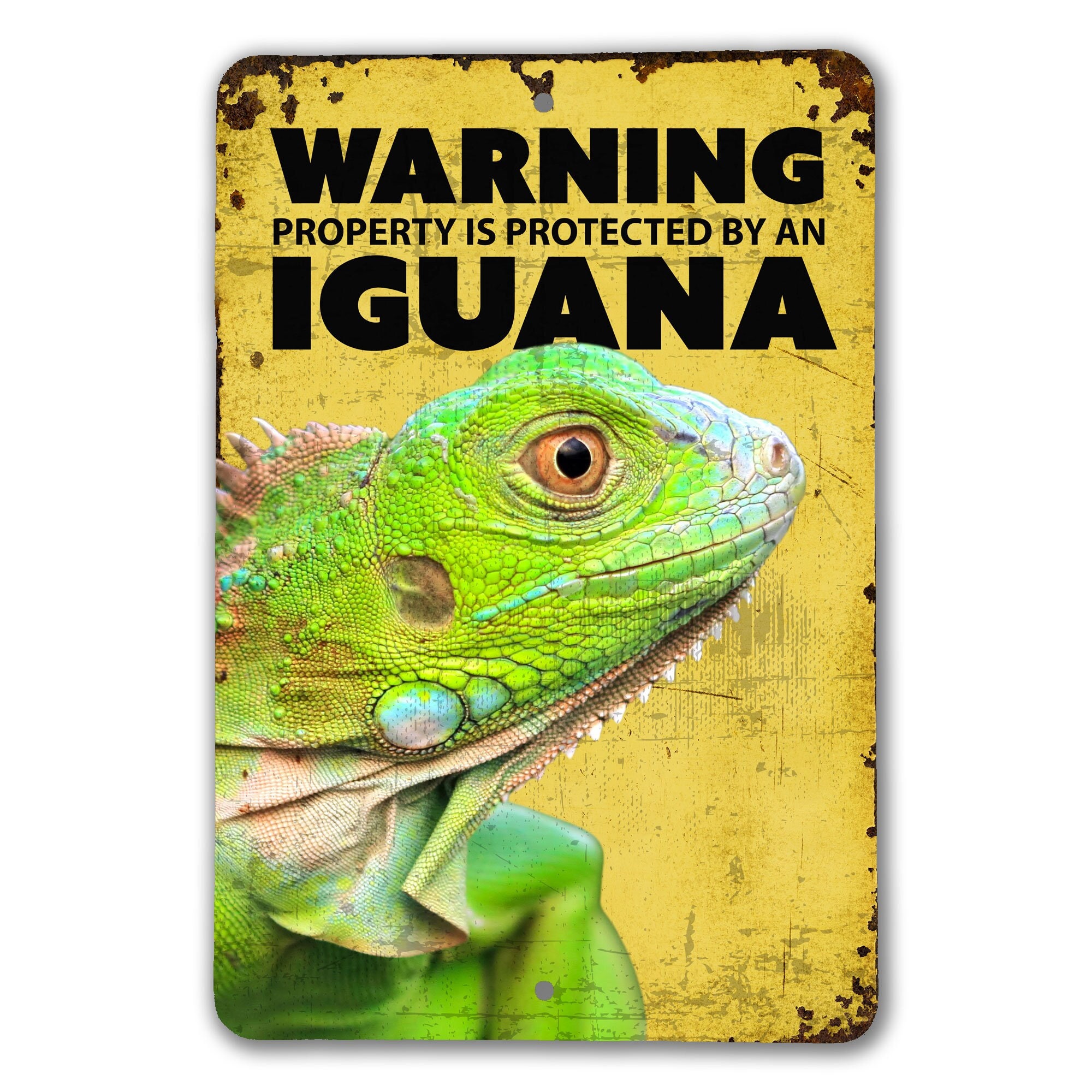 Warning Iguana Sign Iguana Warning Sign Iguana Sign | Etsy