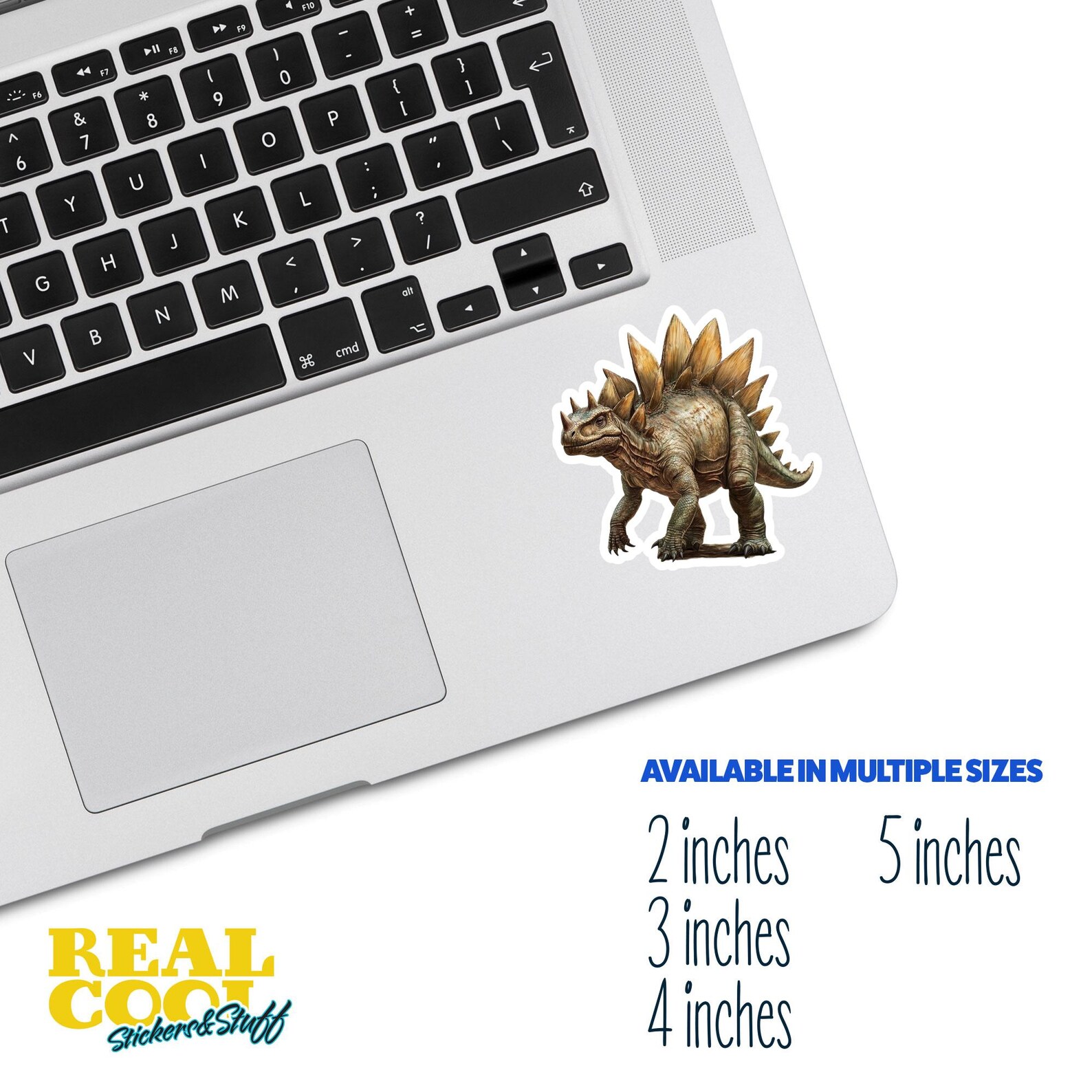Stegosaurus Sticker | Dinosaur Water Bottle Sticker - Etsy