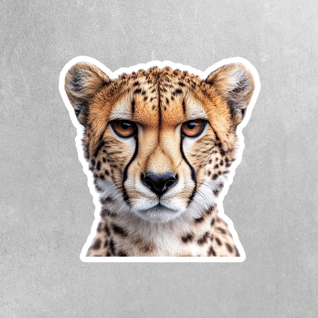 Cheetah Sticker - Cheetah Decal - Wild Animal Stickers - Etsy