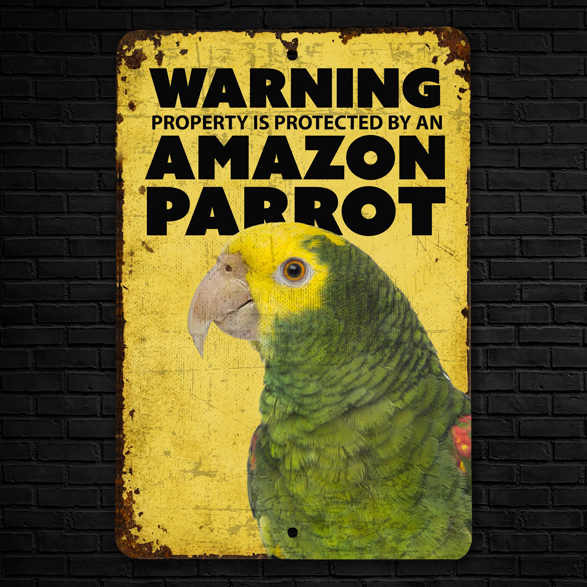 Warning Amazon Parrot Sign Amazon Parrot Warning Sign - Etsy