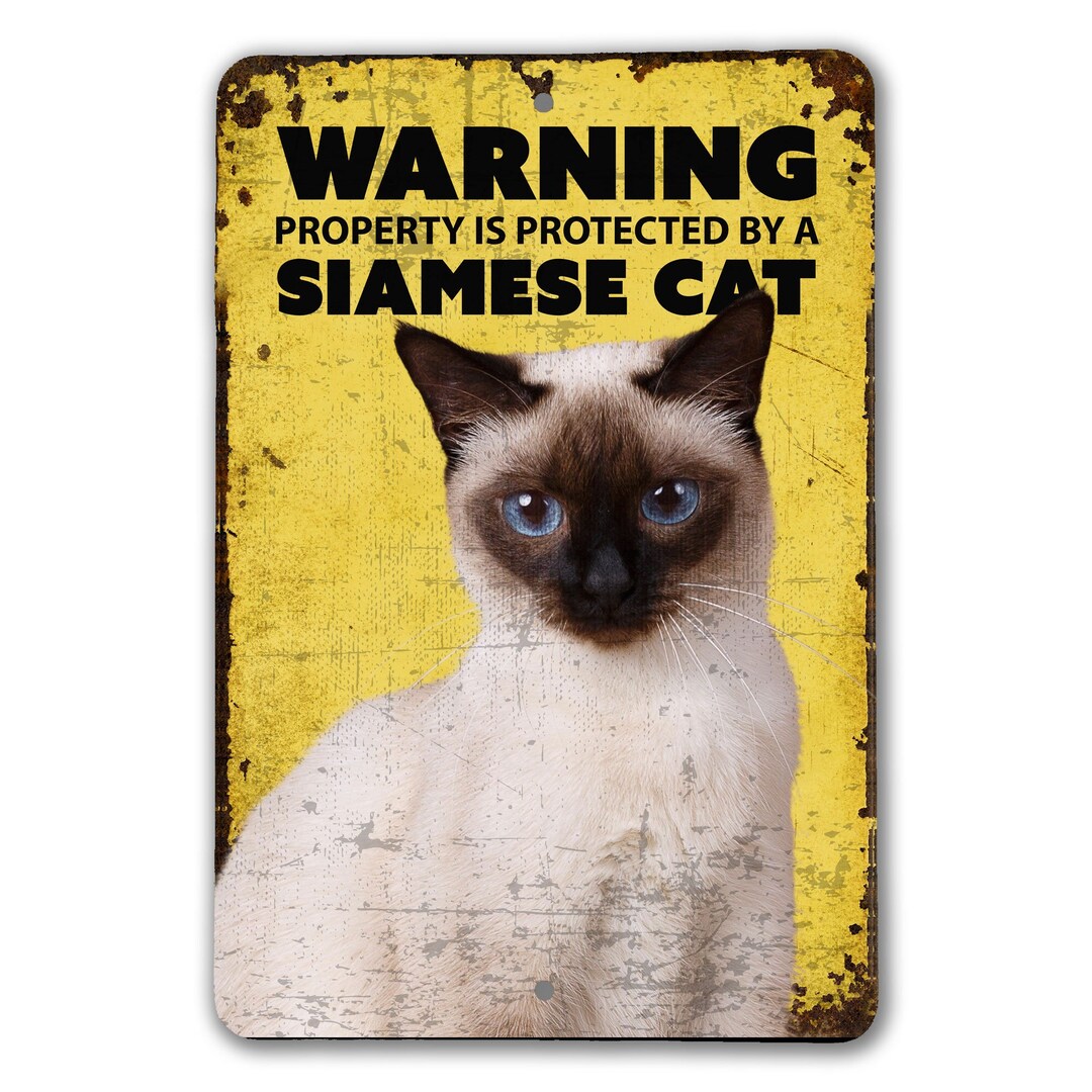 Warning Siamese Cat Sign | Cat Warning Sign | Siamese Cat Sign - Etsy