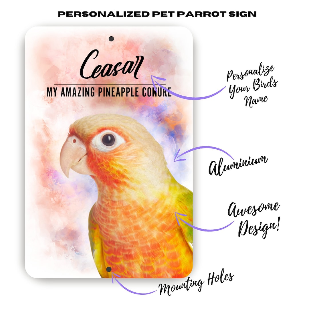 Personalized Pineapple Conure Sign | Custom Pineapple Conure Sign ...