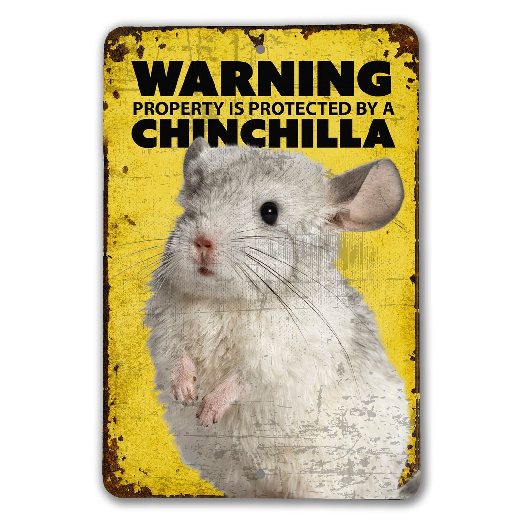 Warning Chinchilla Sign | Chinchilla Warning Sign | Chinchilla Sign - Etsy
