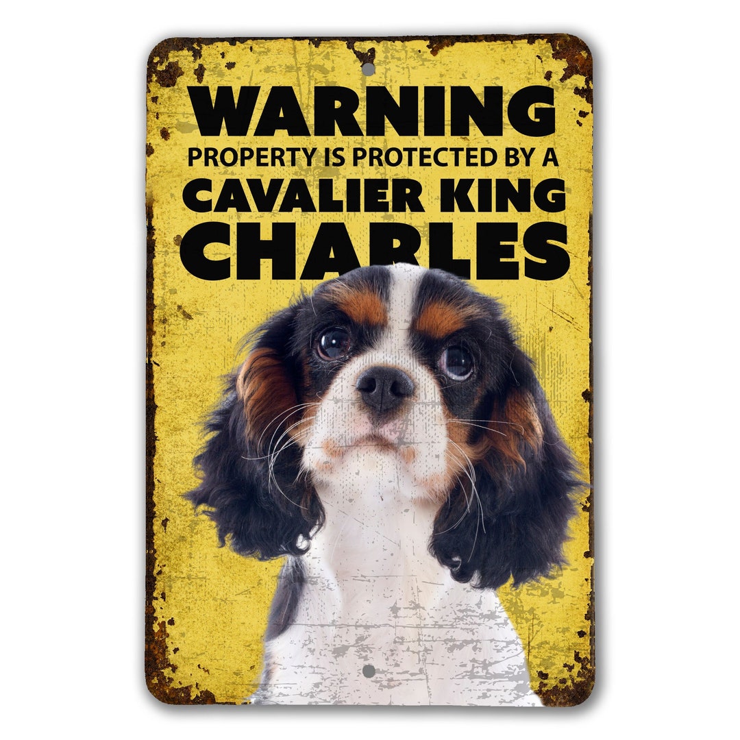 Warning Cavalier King Charles Sign | Dog Warning Sign | Cavalier King ...