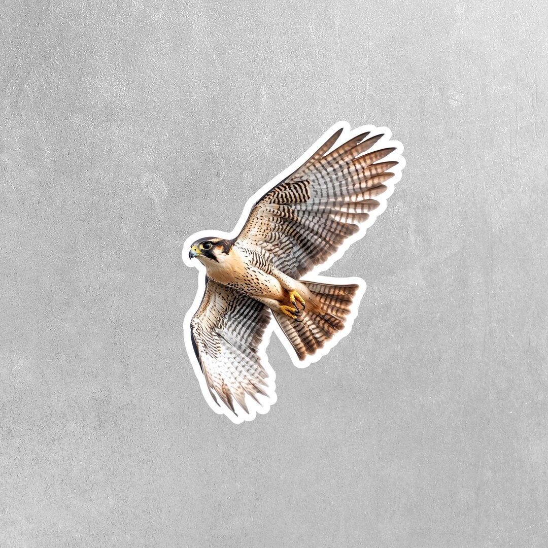 Falcon Sticker | Flying Falcon Decal | Cool Bird Art for Car, Laptop ...