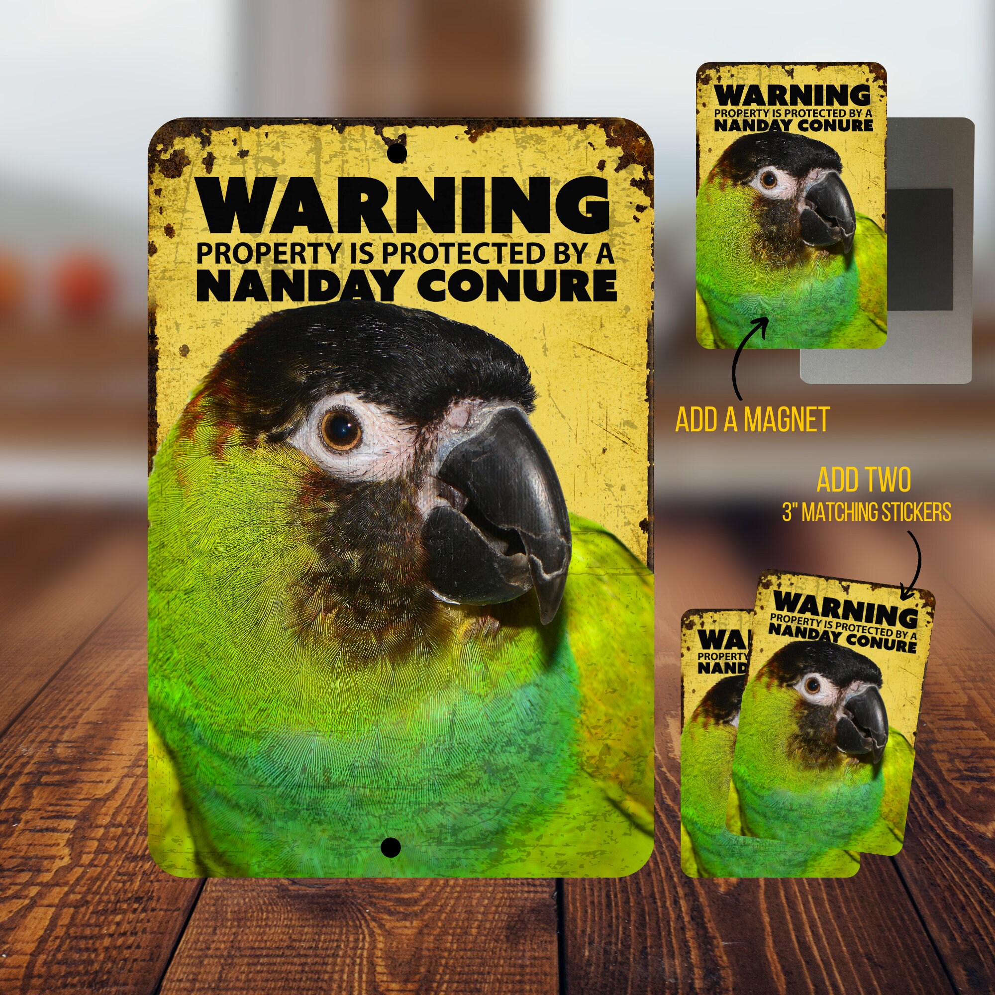 Baby Nanday Conure